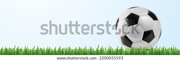 Soccer Ball On Green Grass Vector Stock Vector (Royalty Free ...
