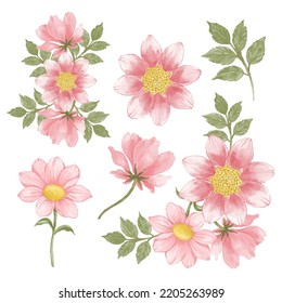 Soft Pink Flowers Set White Isolated Stock Vector (Royalty Free ...