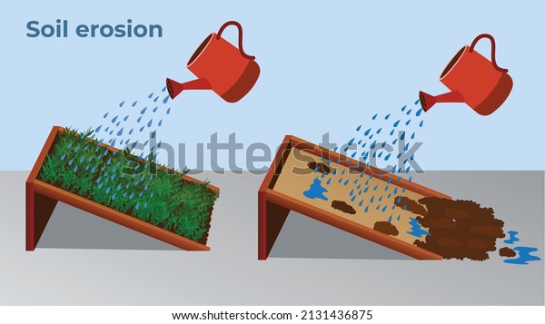 Soil Erosion Effect On Soil By Stock Vector (Royalty Free) 2131436875 ...
