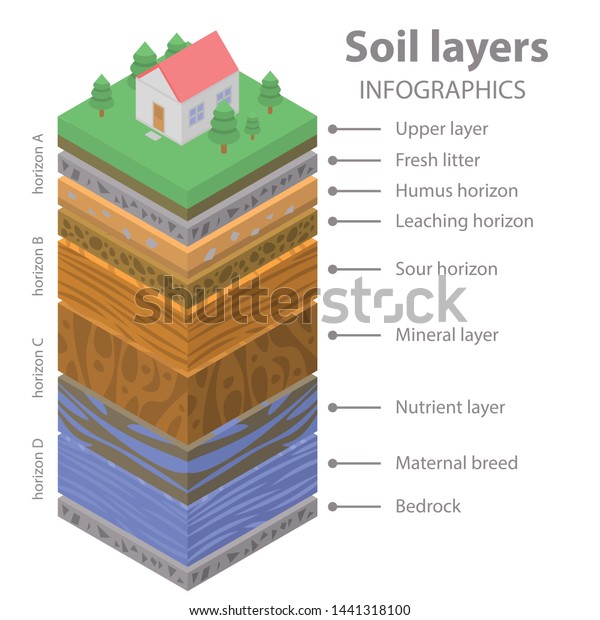 Soil Ground Infographic Isometric Soil Ground Stock Vector (Royalty ...