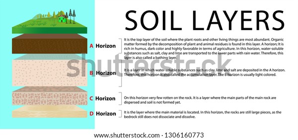 Soil Layers Diagramsoil Horizon Layer Soil Stock Vector (Royalty Free ...