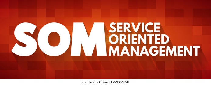 Som Service Oriented Management Infrastructure That Stock Vector ...