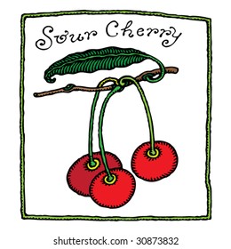 Sour Cherry Hand Drawing Headline Stock Vector (Royalty Free) 30873832 ...