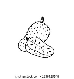 577 Soursop draw Images, Stock Photos & Vectors | Shutterstock
