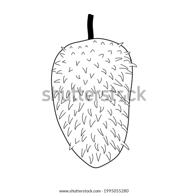 Soursop Fruit Illustration Soursop Fruit Symbol Stock Vector (Royalty ...