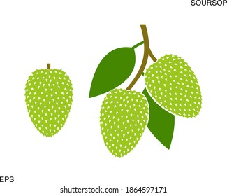 1,309 Soursop illustration Images, Stock Photos & Vectors | Shutterstock
