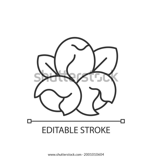 Soy Nuts Linear Icon Vegetarian Crunchy Stock Vector (Royalty Free ...