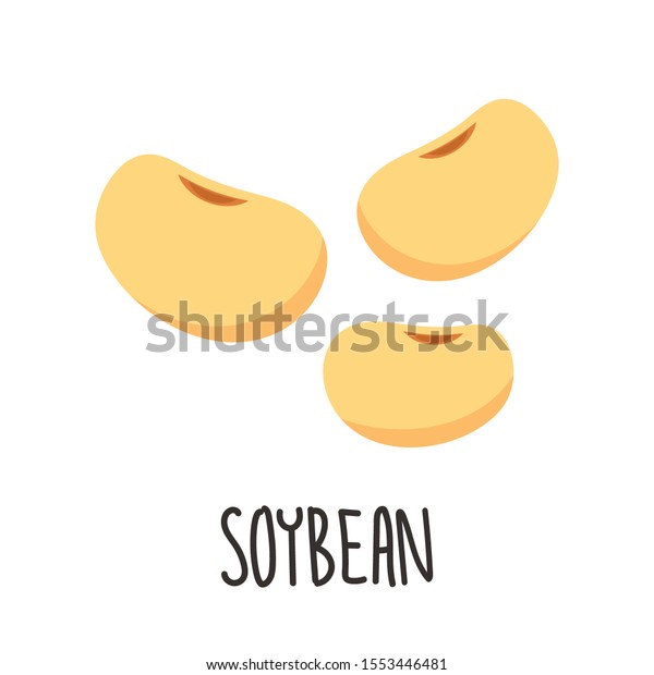 Soybean Cartoon Vector Soybean On White Stock Vector (Royalty Free ...