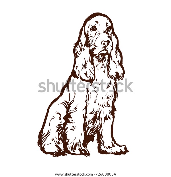 Spaniel Dog Hand Drawn Outline Stock: vector de stock (libre de ...