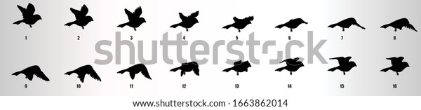 Sparrow Flying Animation Sequence Silhouette Loop Stock Vector (Royalty ...