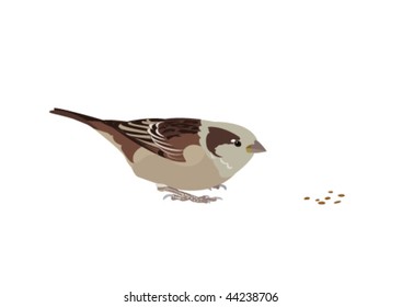 10,022 Bird eating grains Images, Stock Photos & Vectors | Shutterstock