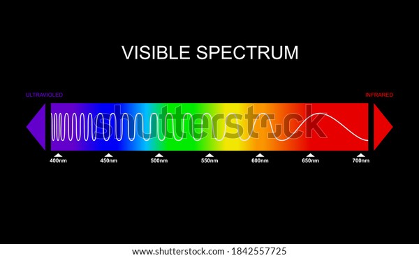 Spectrum Visible Light Diagram Portion Electromagnetic: vetor stock ...