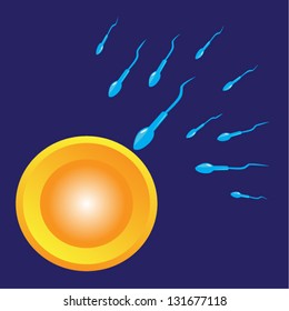 Sperm Cells Racing Towards Egg Cell Stock Vector (Royalty Free ...