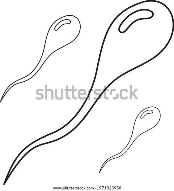 Sperm Spermatozoa Icon Vector Logo Template Stock Vector (Royalty Free ...