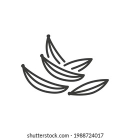 Spice Cumin Line Icon Simple Outline Stock Vector (Royalty Free ...