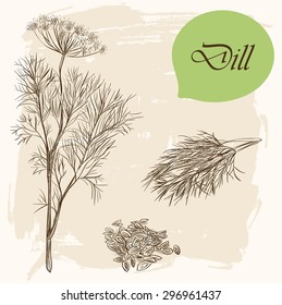 Herb Dill Vector Illustration On White Stock Vector (Royalty Free ...