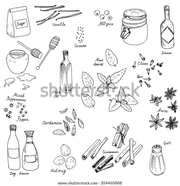 Spices Vector Food Set Ink Drawing Stock Vector (Royalty Free) 304460888