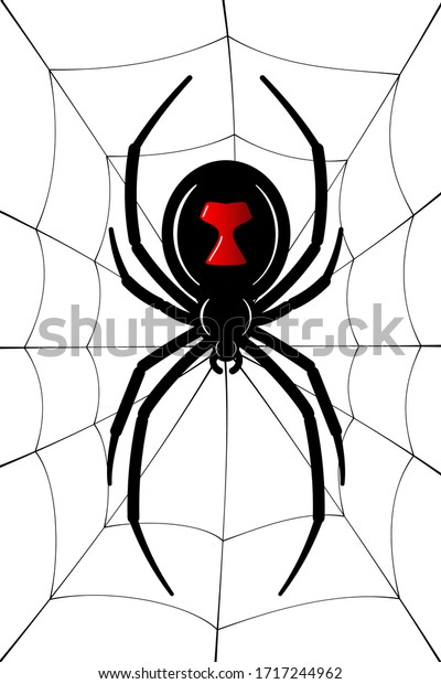 Spider Black Widow Cobweb Red Black Stock Vector (Royalty Free ...