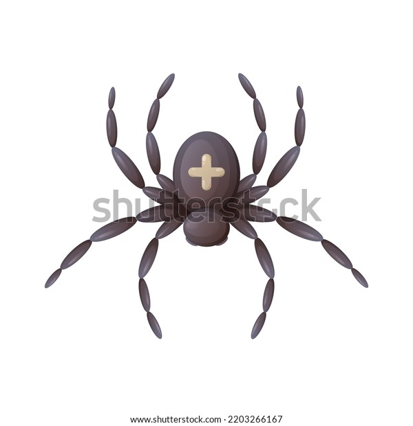 Spider Cross On Back Top View Stock Vector (Royalty Free) 2203266167 ...