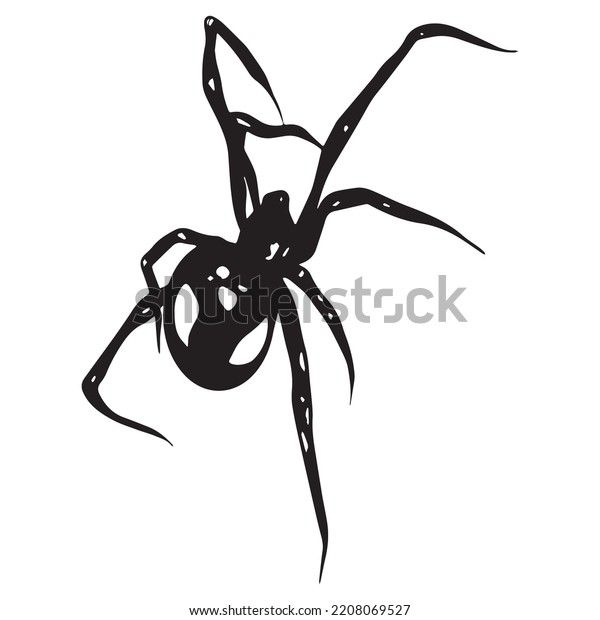 Spider Graphic Design Vector Illustration Art Stock Vector (Royalty ...