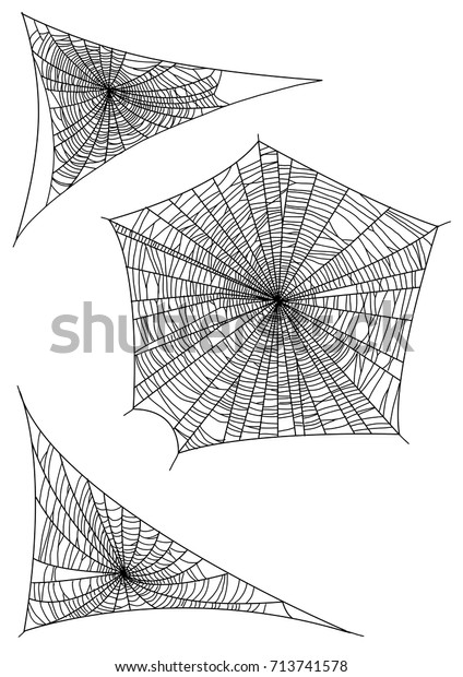 Spider Web Illustration Drawing Engraving Ink Stock Vector (Royalty ...