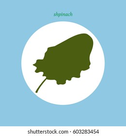 Spinach Icon Logo Symbol Vegetable Stock Vector (Royalty Free ...