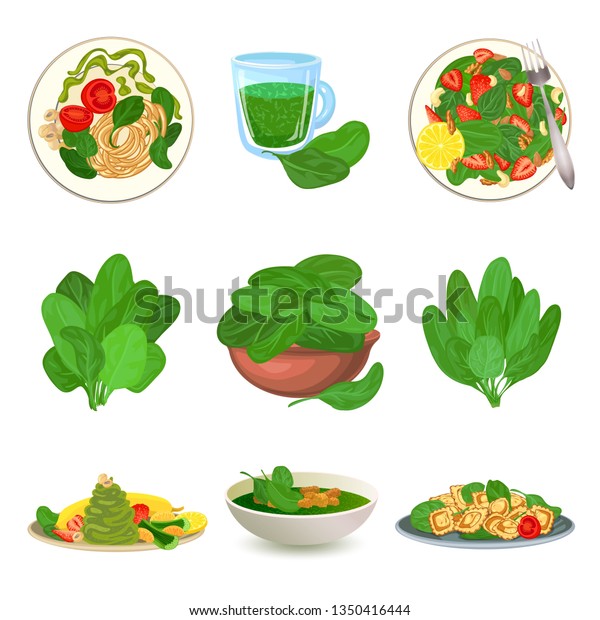 Spinach Icons Set Cartoon Set Spinach Stock Vector (Royalty Free ...