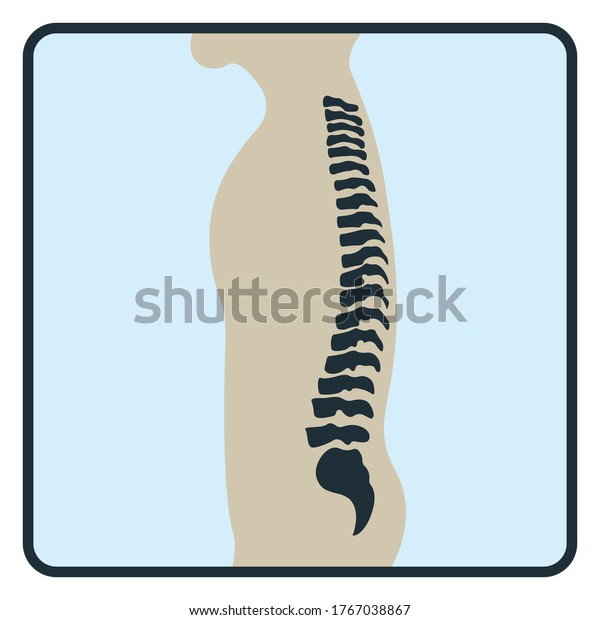 Hueso espinal, icono de concepto xray, imagen del cuerpo humano de ...