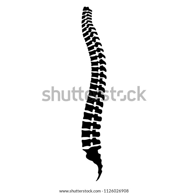 Spine Human Graphic Icon Spinal Column Stock Vector (Royalty Free ...