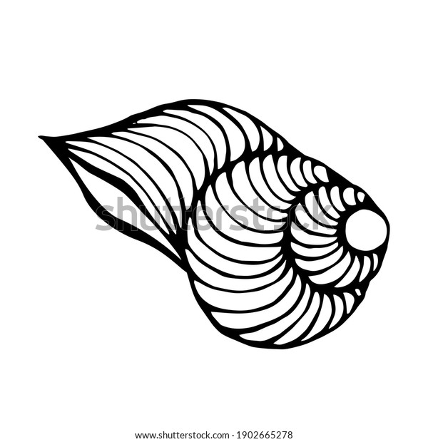 Spiral Snail Shell Black Outline On: เวกเตอร์สต็อก (ปลอดค่าลิขสิทธิ์ ...