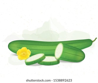 Sponge Gourd Half Cut Sponge Gourd Stock Vector (Royalty Free ...