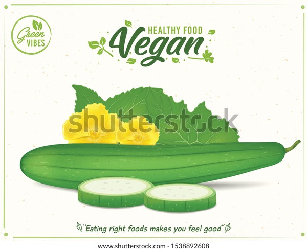 Sponge Gourd Vector Illustration Sponge Gourd Stock Vector (Royalty ...