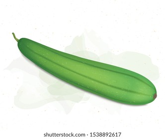 94 Ridge gourd Stock Vectors, Images & Vector Art | Shutterstock