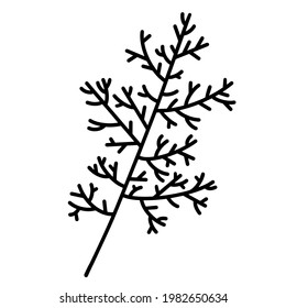 Sprig Leaves Vector Illustration Isolated Botanical Stock Vector ...