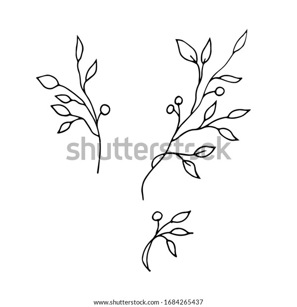 Sprigs Leaves Line Art Vector Illustration Stock Vector (Royalty Free ...