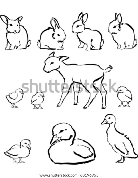 Spring Baby Animals Stock Vector (Royalty Free) 68196955 | Shutterstock