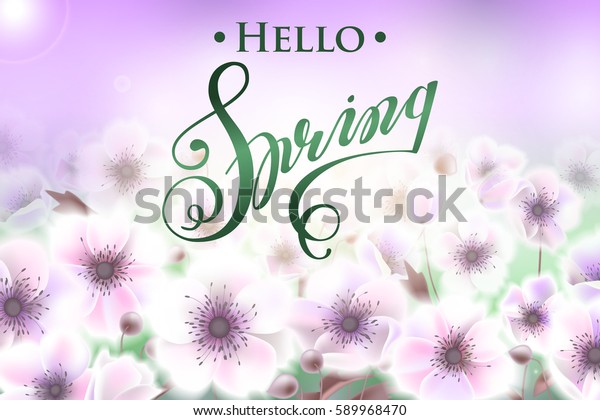 Spring Background Pink White Purple Flowers Stock Vector (Royalty Free ...