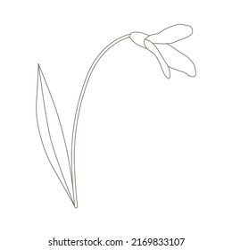 Spring Flower Line Art Vector Stock Vector (Royalty Free) 2169833107 ...