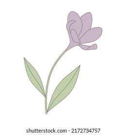 Spring Flower Line Art Vector Stock Vector (Royalty Free) 2172734757 ...