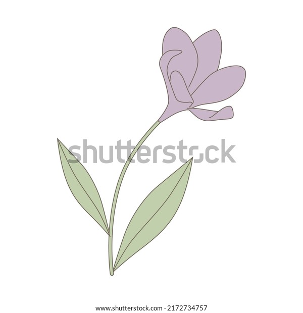 Spring Flower Line Art Vector Stock Vector (Royalty Free) 2172734757 ...