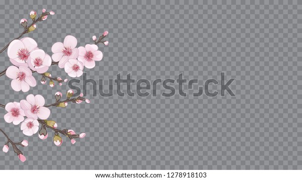 Spring Frame Sakura Flowers Magenta On Stock Vector (Royalty Free ...