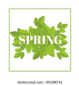 Spring Spring Fresh Leaves Vector Illustration Stock Vector (Royalty ...