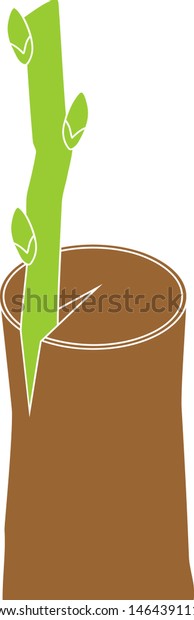 Spring Grafting Tree Cleft Graft Stock Vector (Royalty Free) 1464391112 ...