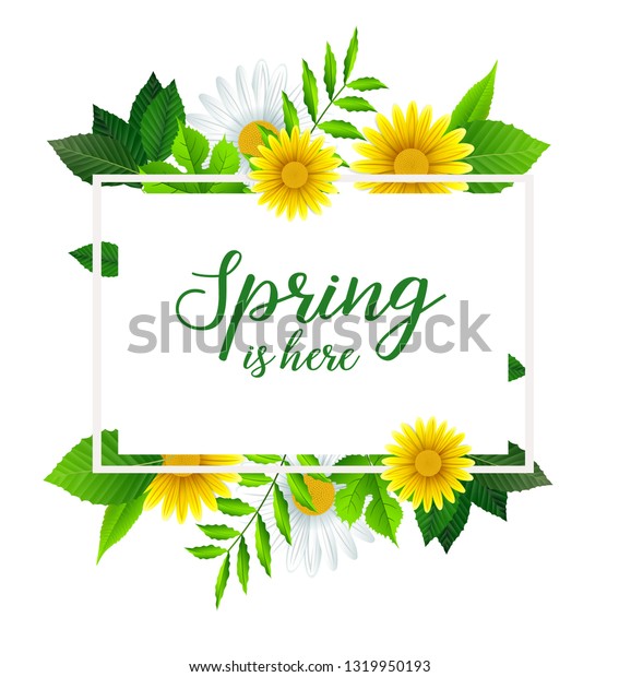 Spring Here Banner Template Beautiful Flower Stock Vector (Royalty Free ...