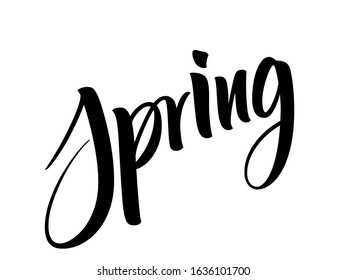 Spring Lettering Handwritten Modern Calligraphy Brush Stock Vector ...