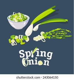 10,502 Spring Onion Illustration Images, Stock Photos & Vectors ...