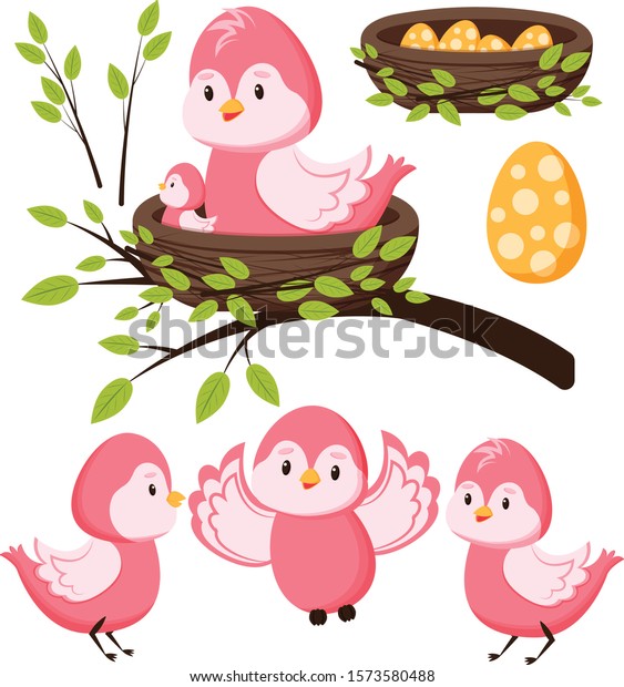 Spring Set Elements Birds Nests Eggs Stock Vector (Royalty Free ...