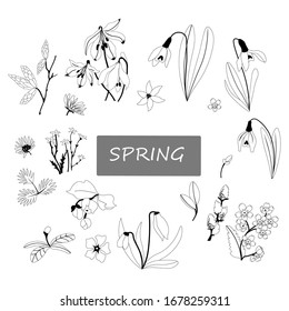 Spring Set Flowers Black White Stock Vector (Royalty Free) 1678259311 ...