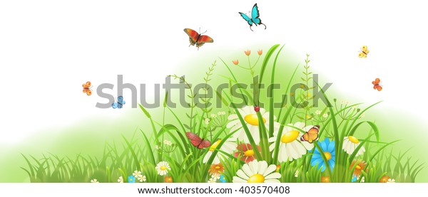 Spring Summer Meadow Banner Grass Colorful Stock Vector (Royalty Free ...