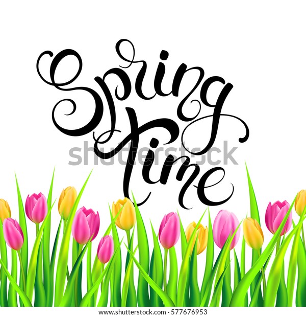 Spring Time Card Handwritten Calligraphy Lettering Stock Vector ...